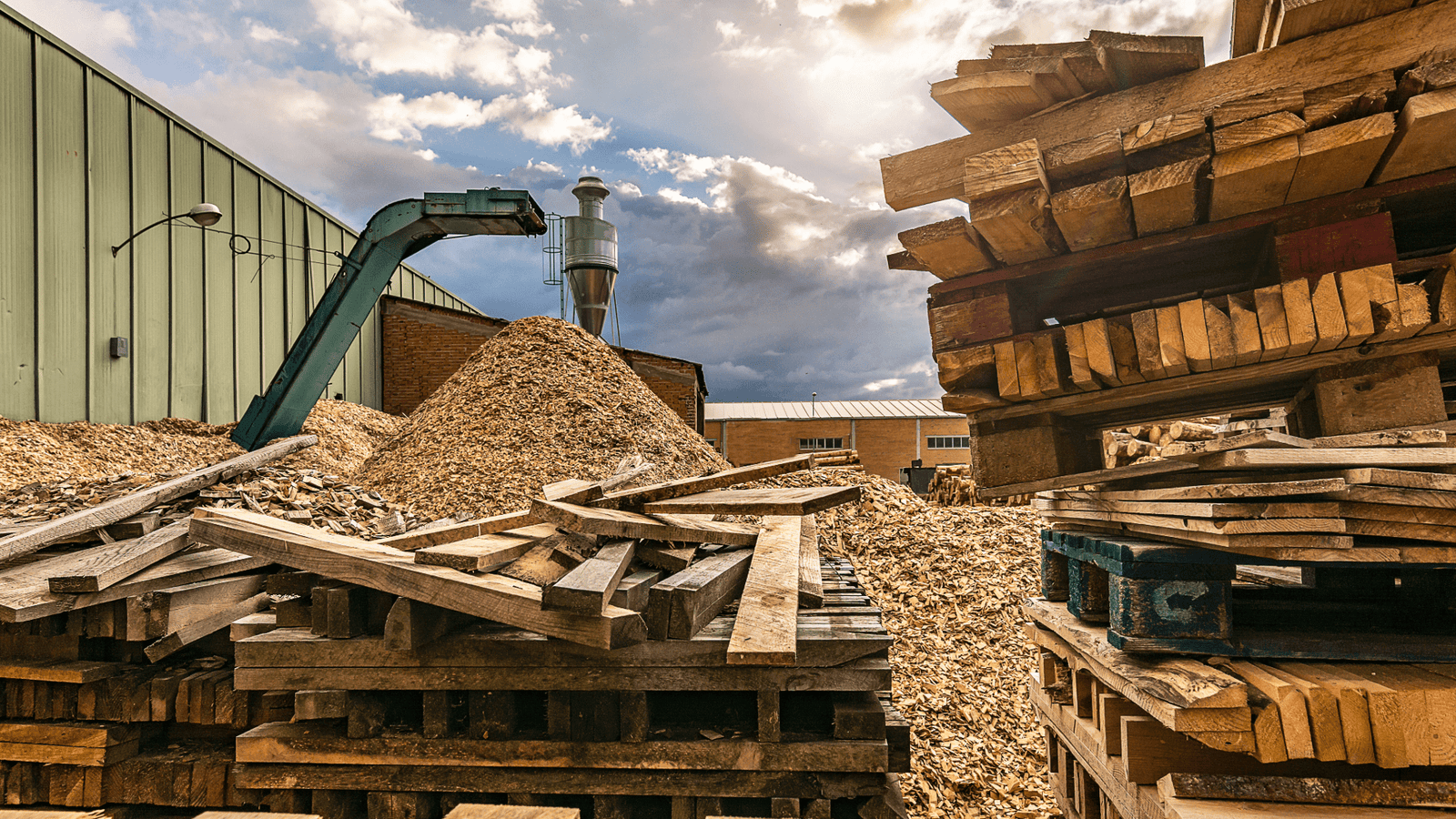What's Stopping Us From Using Recycled Wood In Buildings?